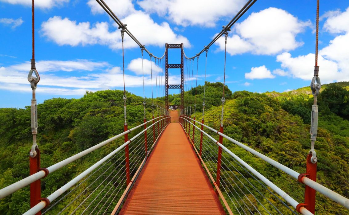 Suspension Bridge in Maui Hawaii - Kapalua Ziplines